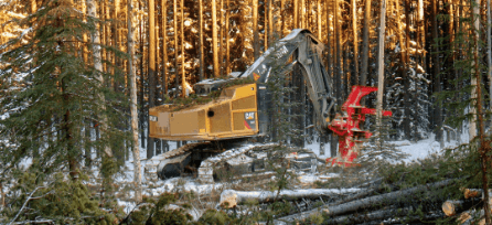 Equipment Needed for Land Clearing | The Cat Rental Store