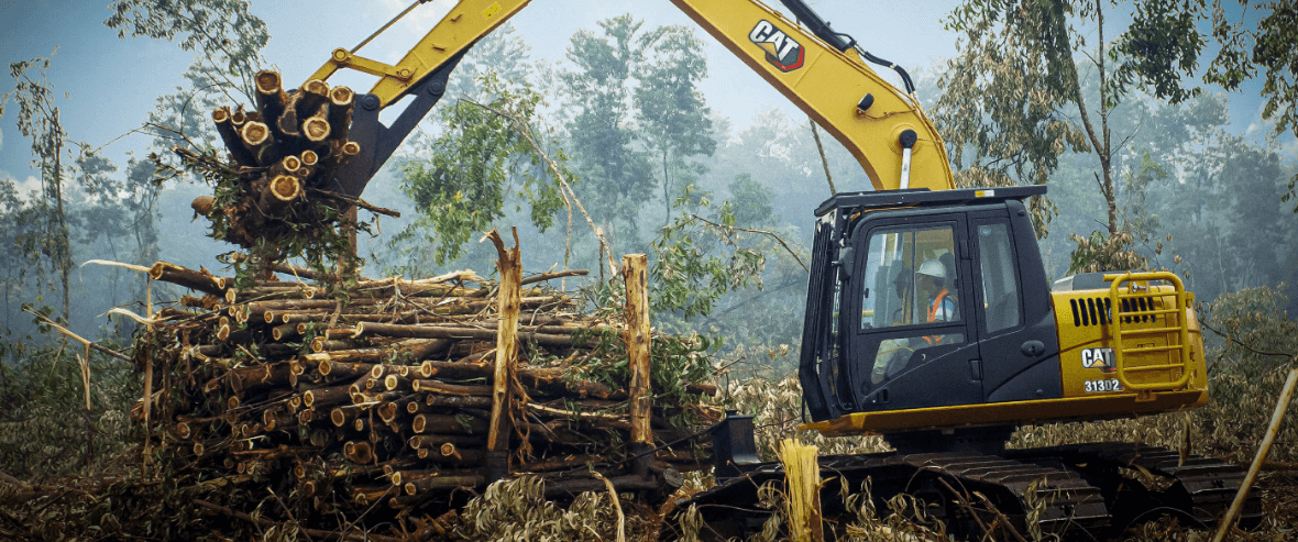Safety Procedures for The Forestry Industry | The Cat Rental Store
